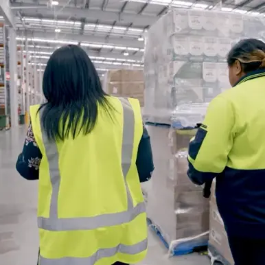 Software Development Solutions | Sandfield