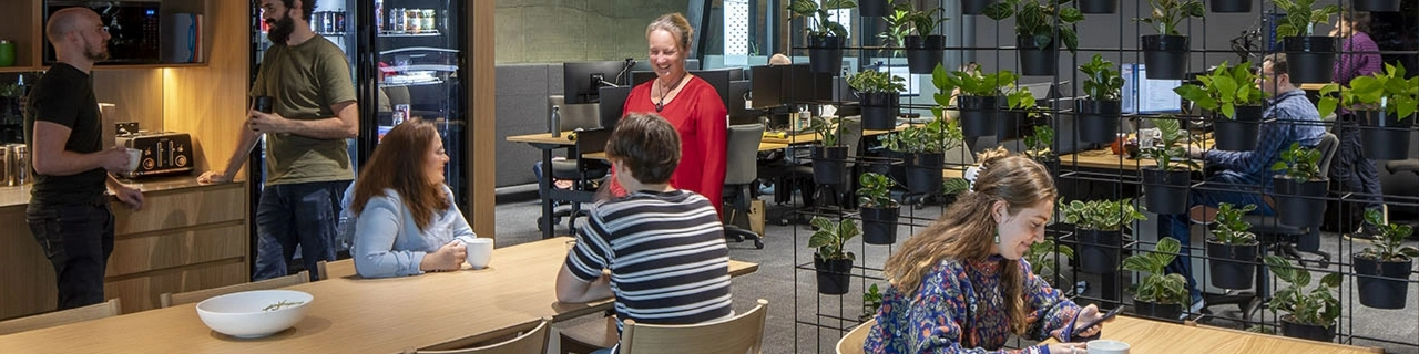 Software Development Company | Sandfield